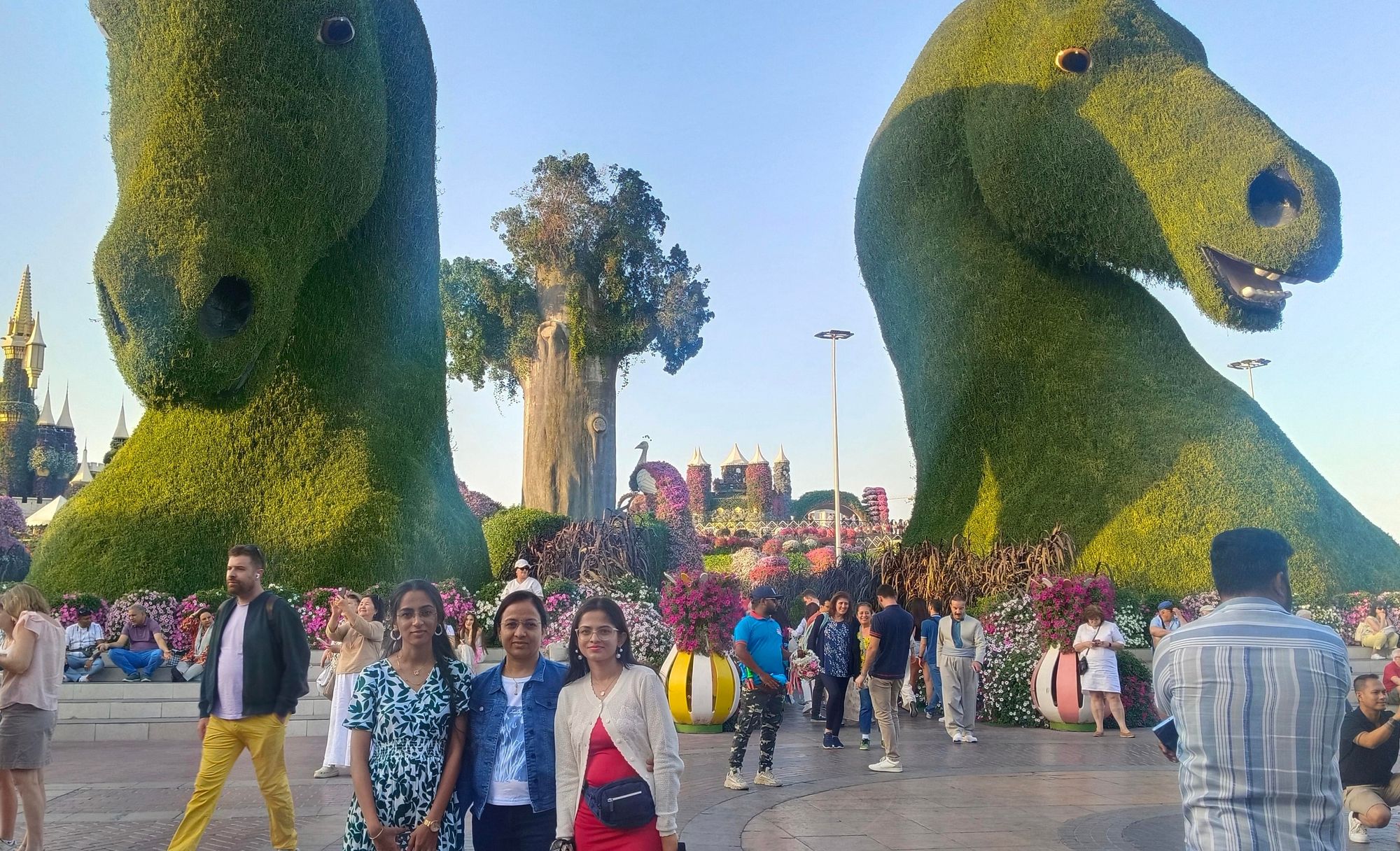 Thrillophilia Review of Dilip's Memorable Dubai Trip